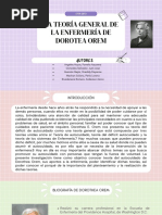 Modelos y Teorías de Enfermería - Lydia Hall | PDF | Enfermería | Medicina