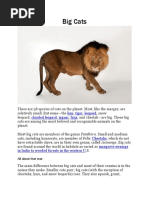 Wild Cat Family List by Lineage - Family | PDF | Felidae | Panthera