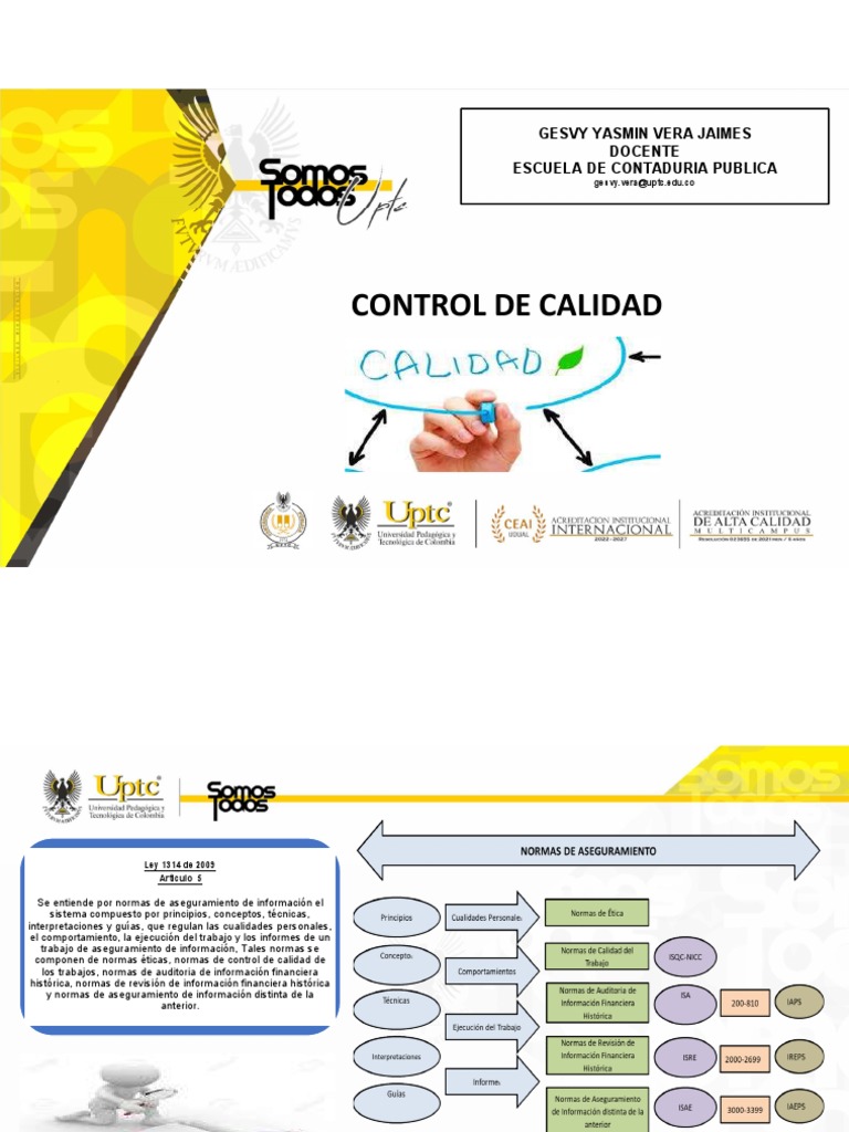 Control de Calidad | PDF | Auditoría