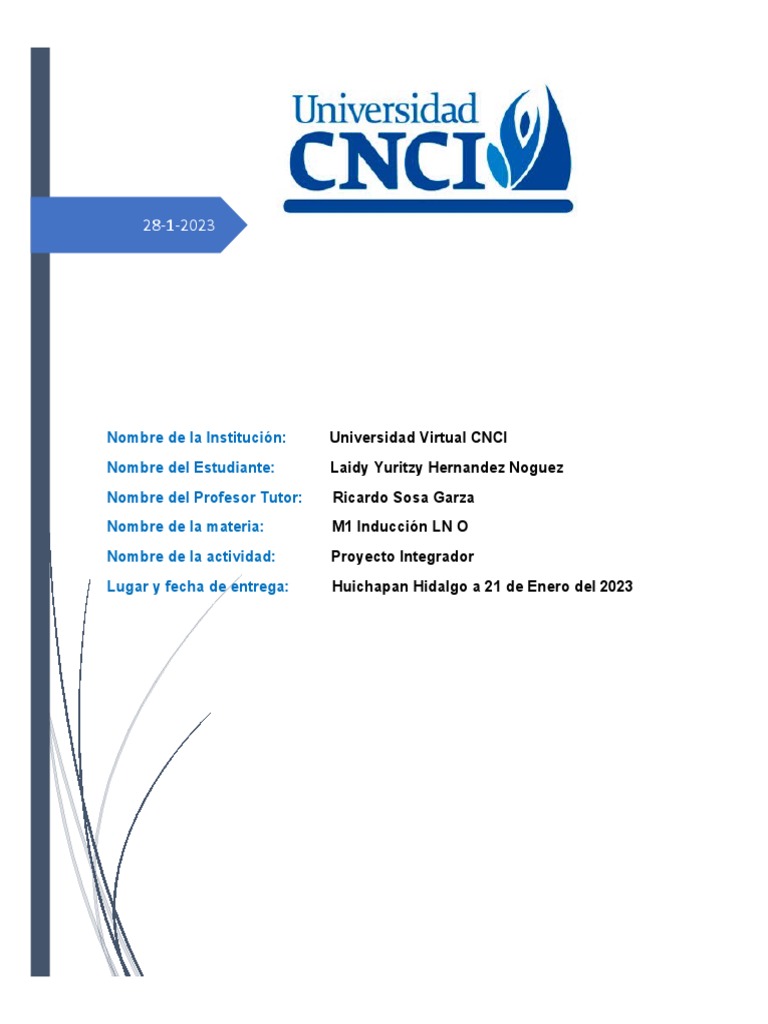 PROYECTO INTEGRADOR Cnci | PDF