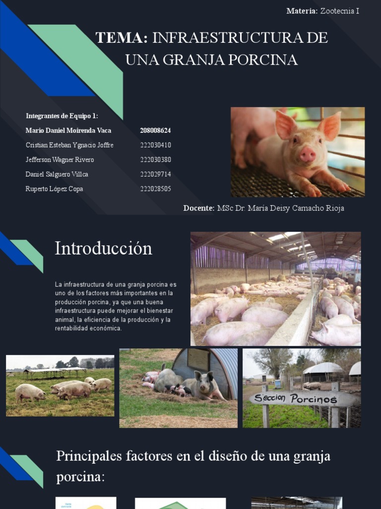 Infraestructura de La Granja Porcina | PDF | Cerdo | Granjas