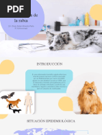 Manual - Rabia en Humano | PDF | Inmunofluorescencia | Rabia