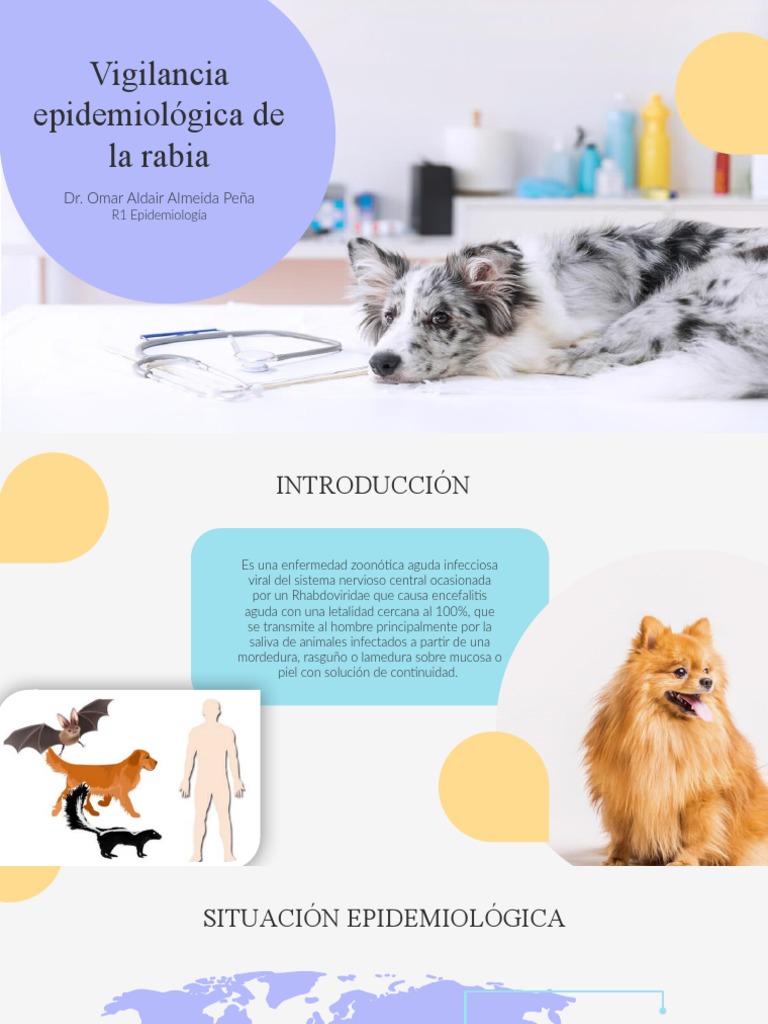 Vigilancia Epidemiologica de La Rabia | PDF | Rabia | Especialidades Medicas
