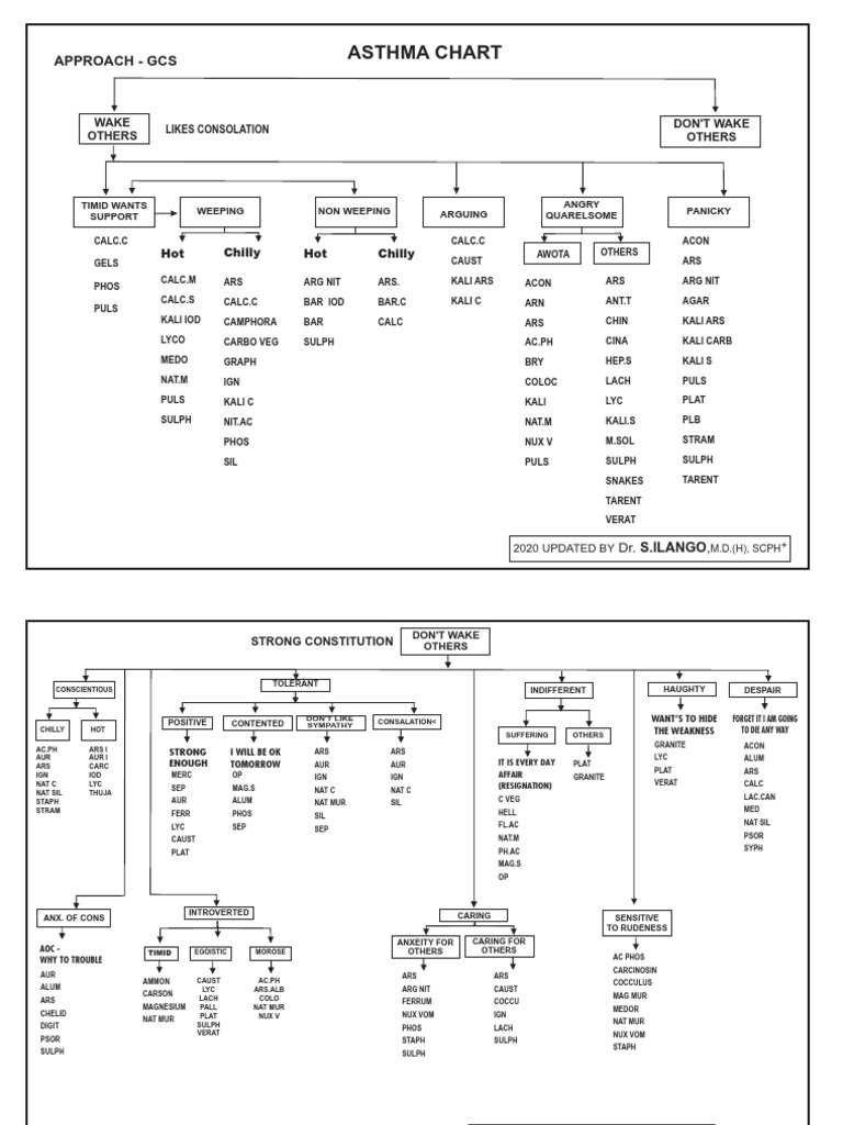 Asthma Chart | PDF