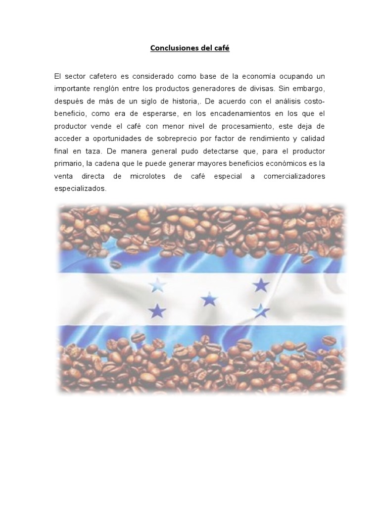 Conclusiones Del Café | PDF