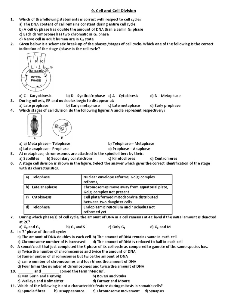 Cell and Cell Division PEARSON | PDF | Meiosis | Mitosis