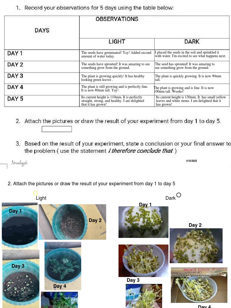 Observation of Mongo | PDF