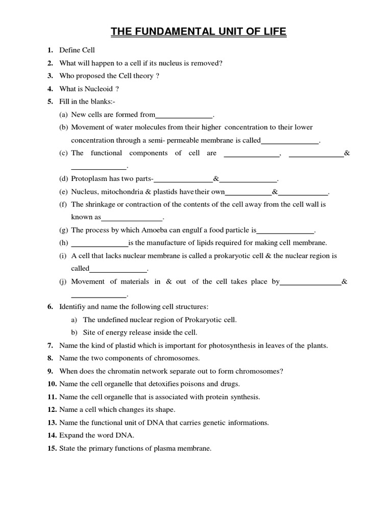 The Fundamental Unit of Life | PDF | Cell (Biology) | Cell Nucleus
