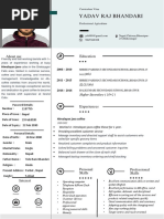 CEA Format 2024-25 | PDF