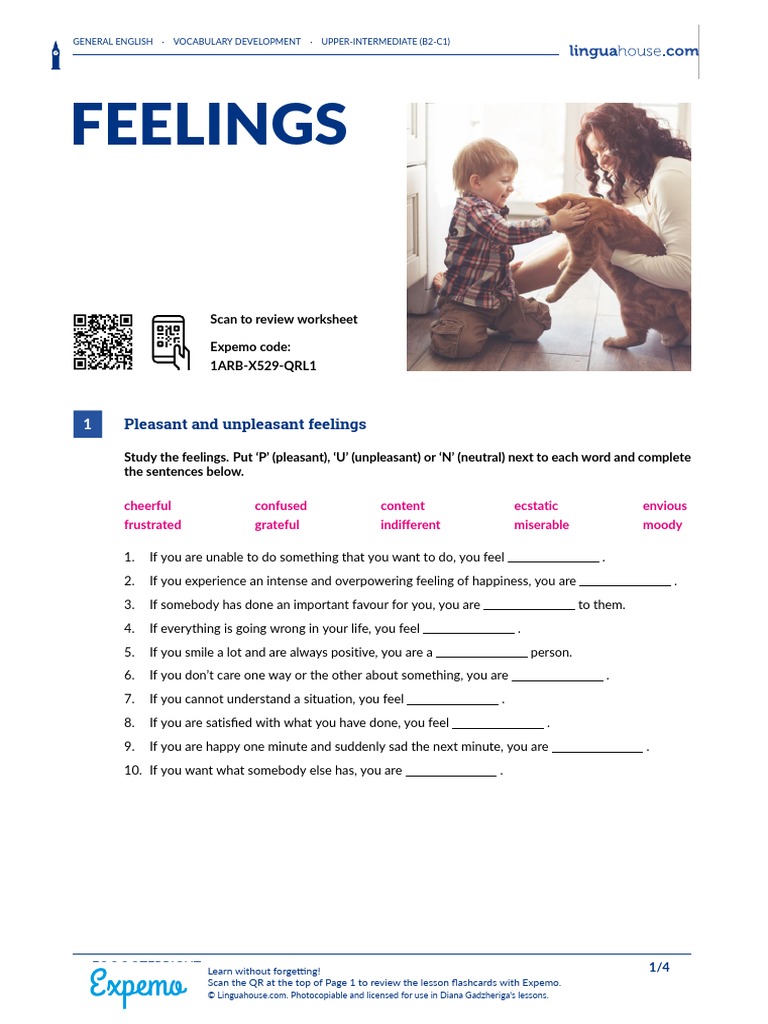 Feelings British English Student | PDF