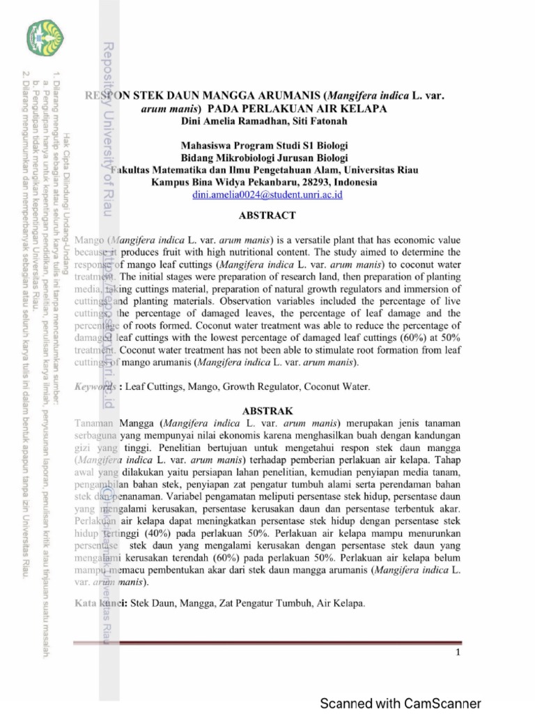 Dini Amelia Ramadhan - Compressed | PDF