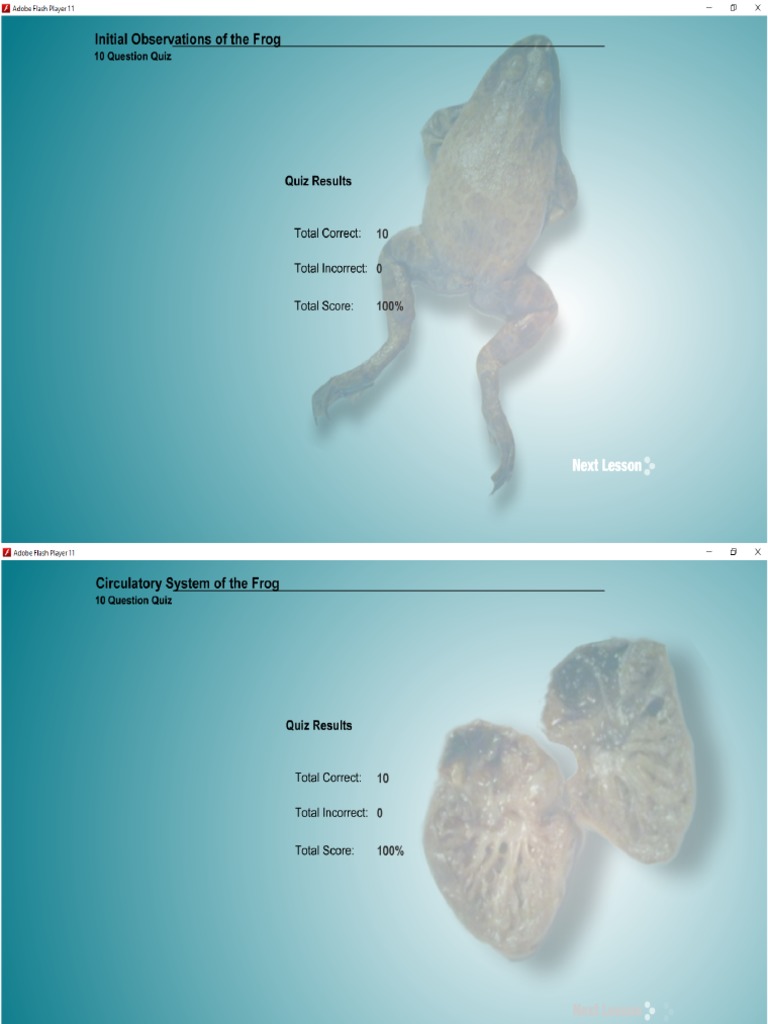 Frog Simulation | PDF
