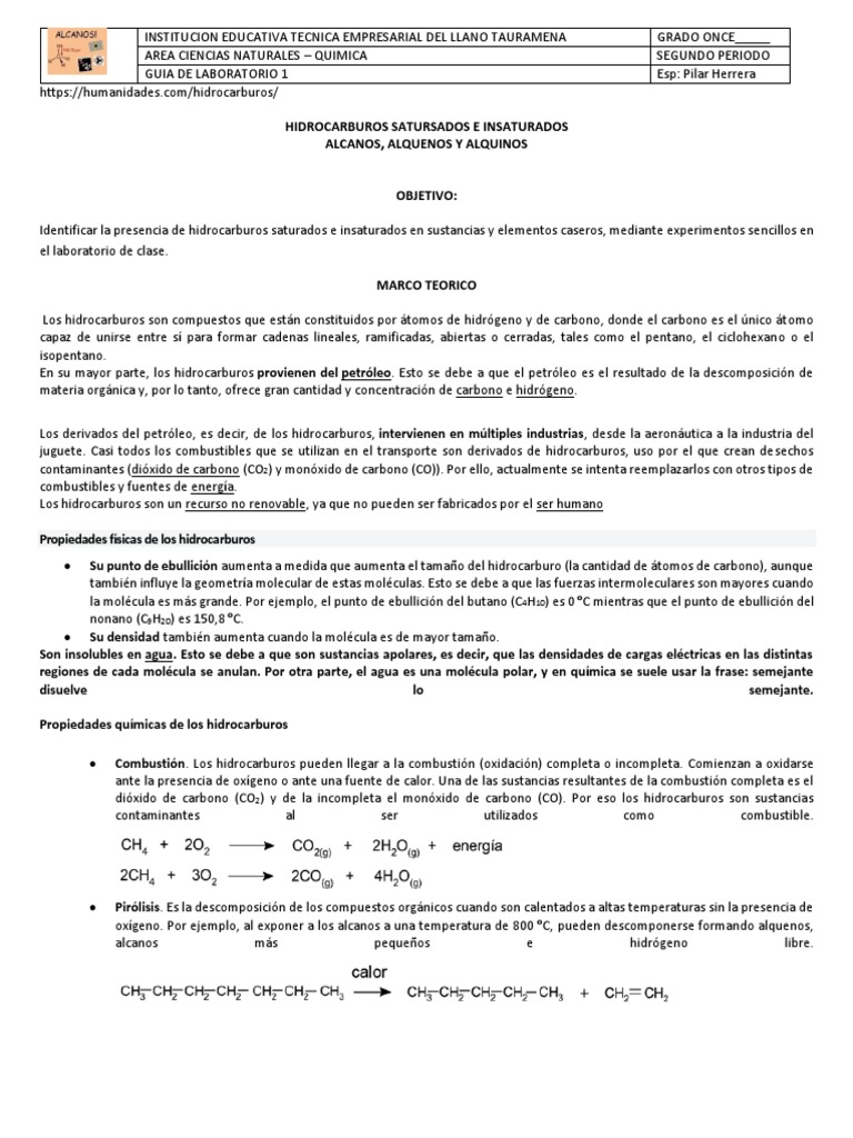 Lb. 1 Guia de Alcanos Alquenos y Alquinos | PDF | Hidrocarburos | Alcano