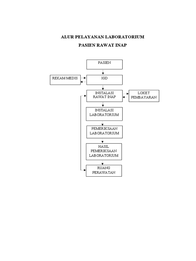 Alur Pelayanan Laboratorium | PDF