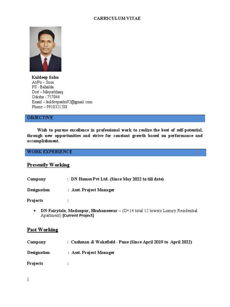 Kuldeep Sahu CV M2023 | PDF | Career & Growth