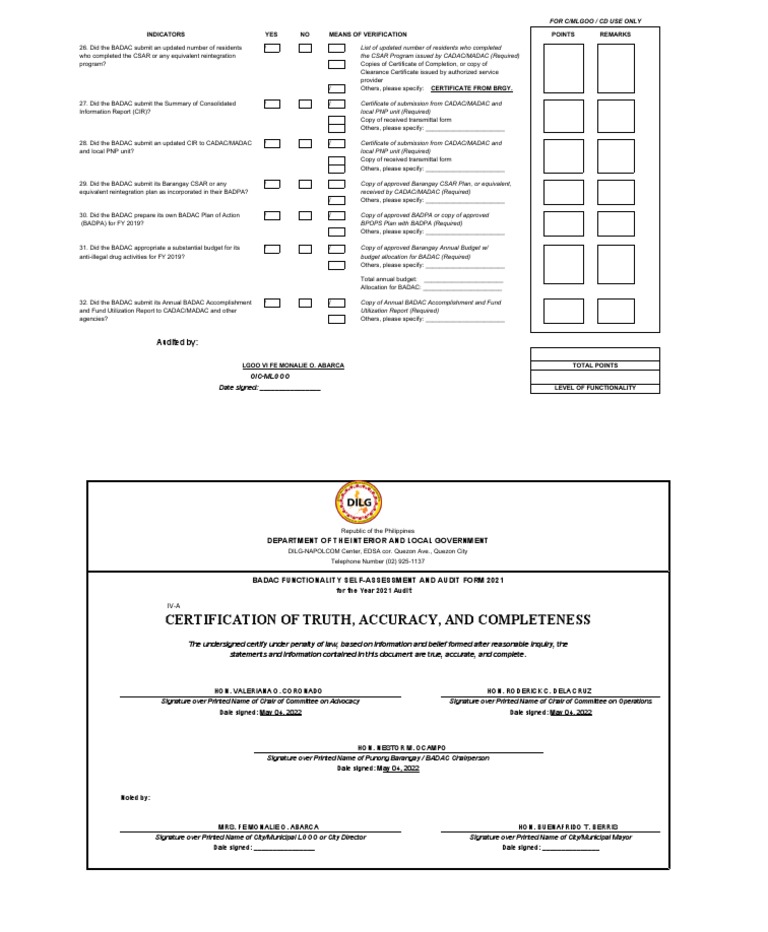 3-Badac Self-Assessment and Audit Form 2021 | PDF | Government