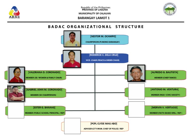 BADAC TEMPLATE - Council Organizational Structure | PDF