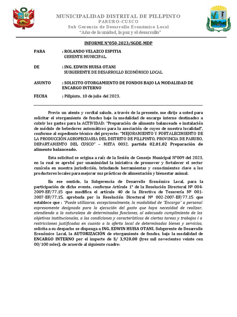 Informe N050 Encargo Interno | PDF