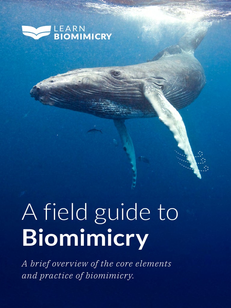 Learn Biomimicry Handbook - Field Guide To Biomimicry | PDF | Nature ...