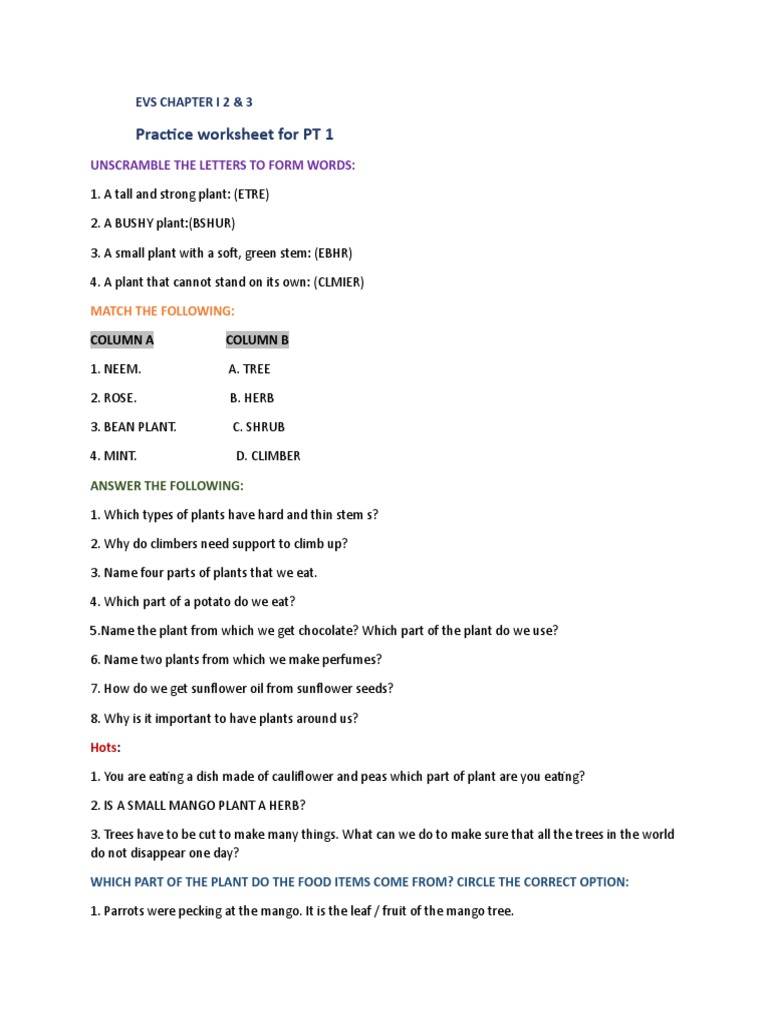 Nidish EVS PT Practice Worksheet | PDF