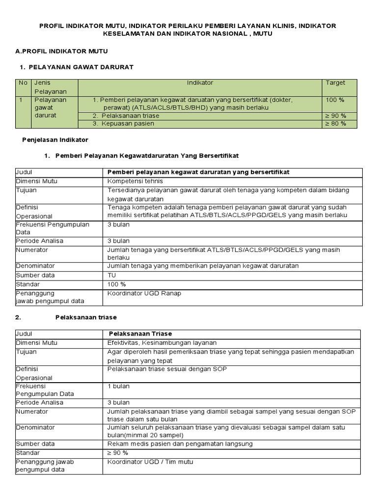 5121 Profil Indikator Mutu, SKP, InM Edit | PDF