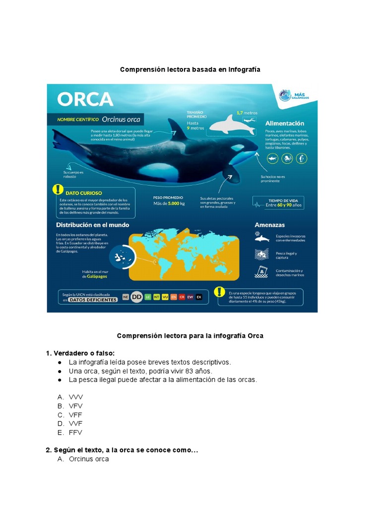 Infografía_ Orca | PDF | Cetáceos