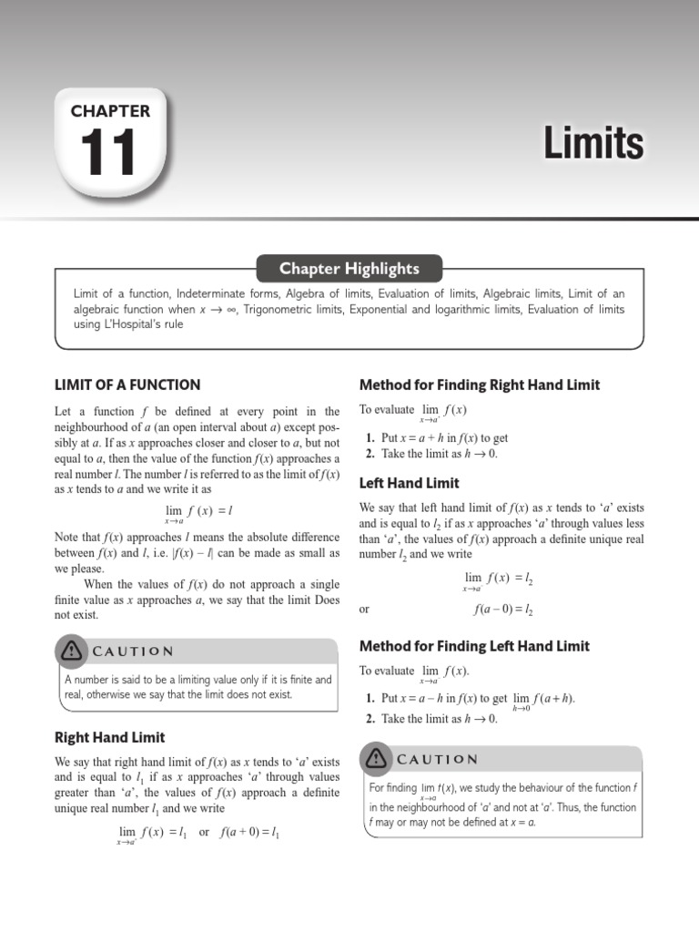 Limits Notes | PDF | Function (Mathematics) | Mathematics
