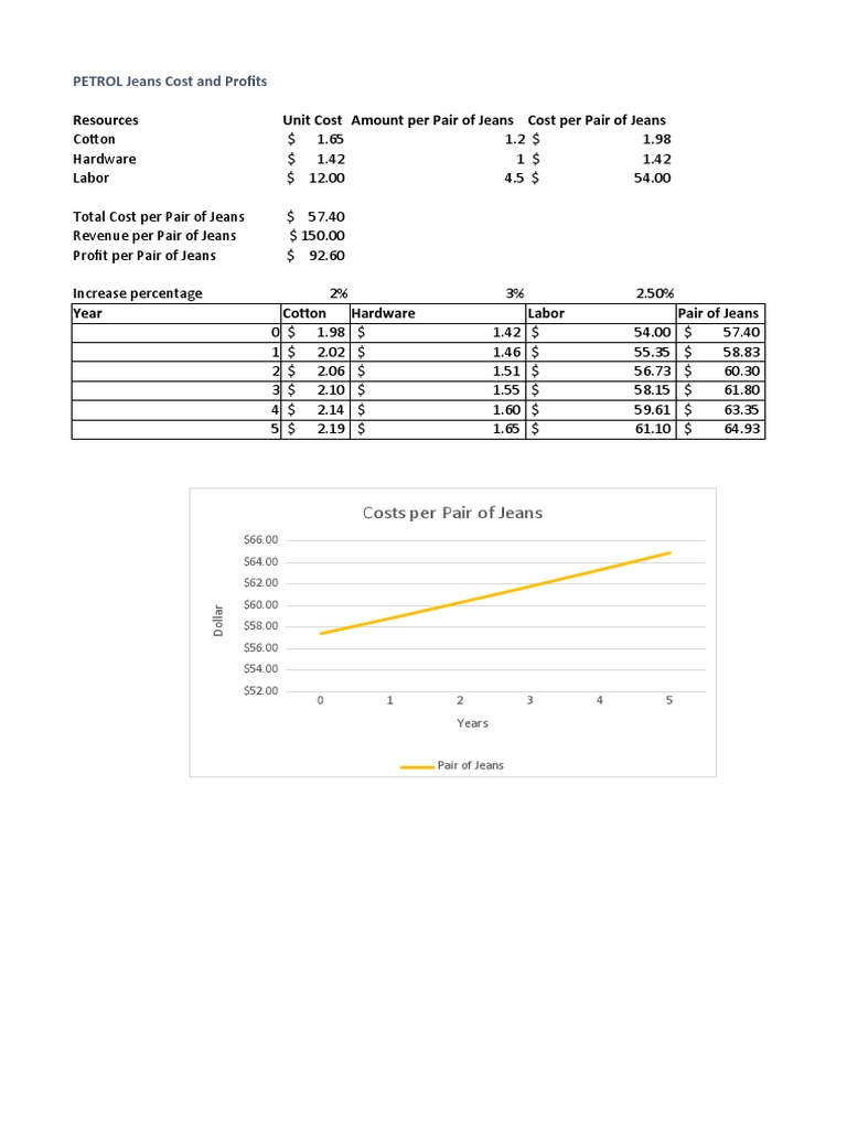 Petrol Jeans Cost and Profit Analysis | PDF