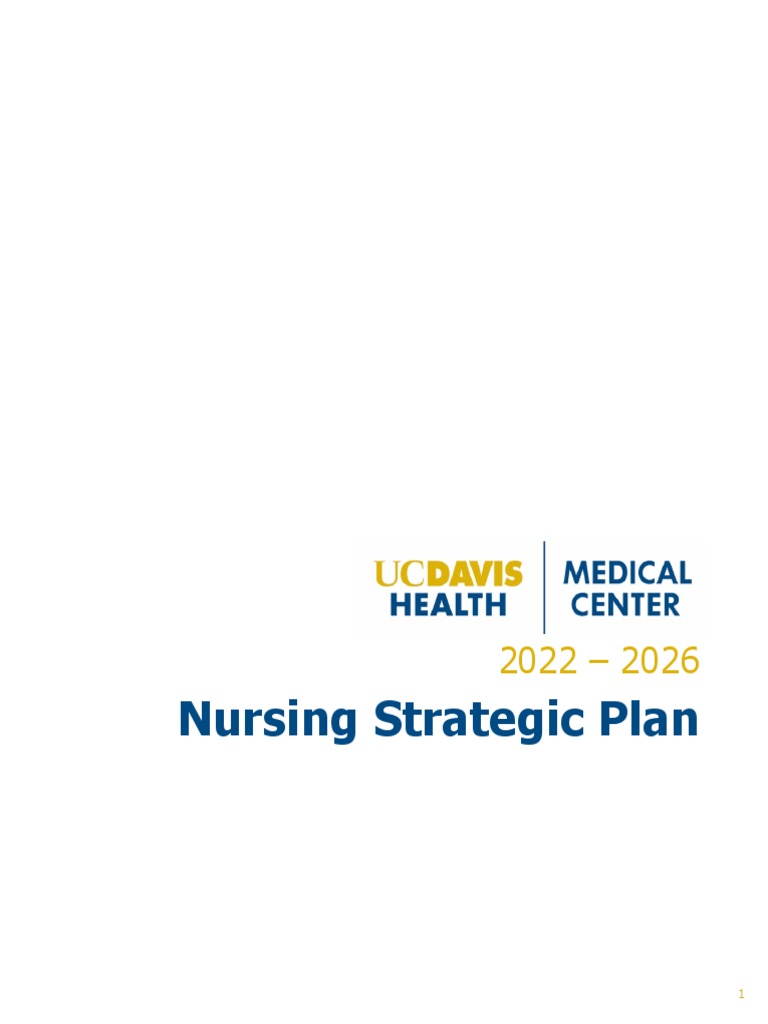 Nursing Strategic Plan 2022to2026 | PDF | Nursing | Palliative Care