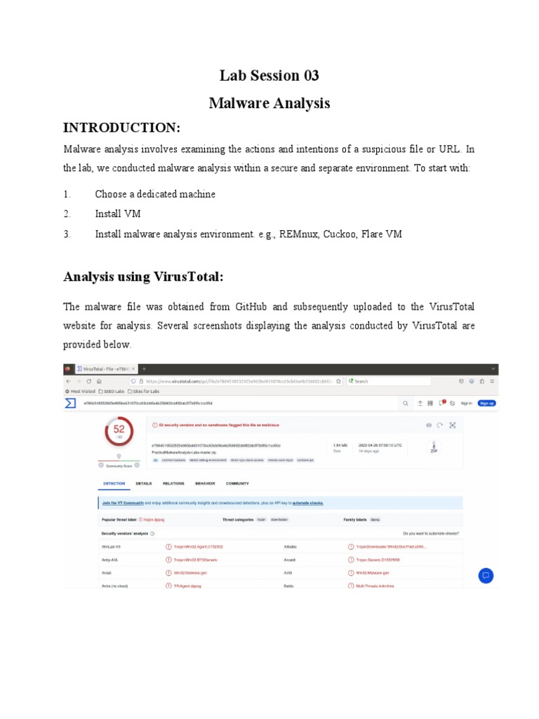CT-19005 - Lab 3 - Malware Analysis | PDF