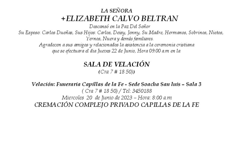 Cartel +elizabeth Calvo Beltran | PDF
