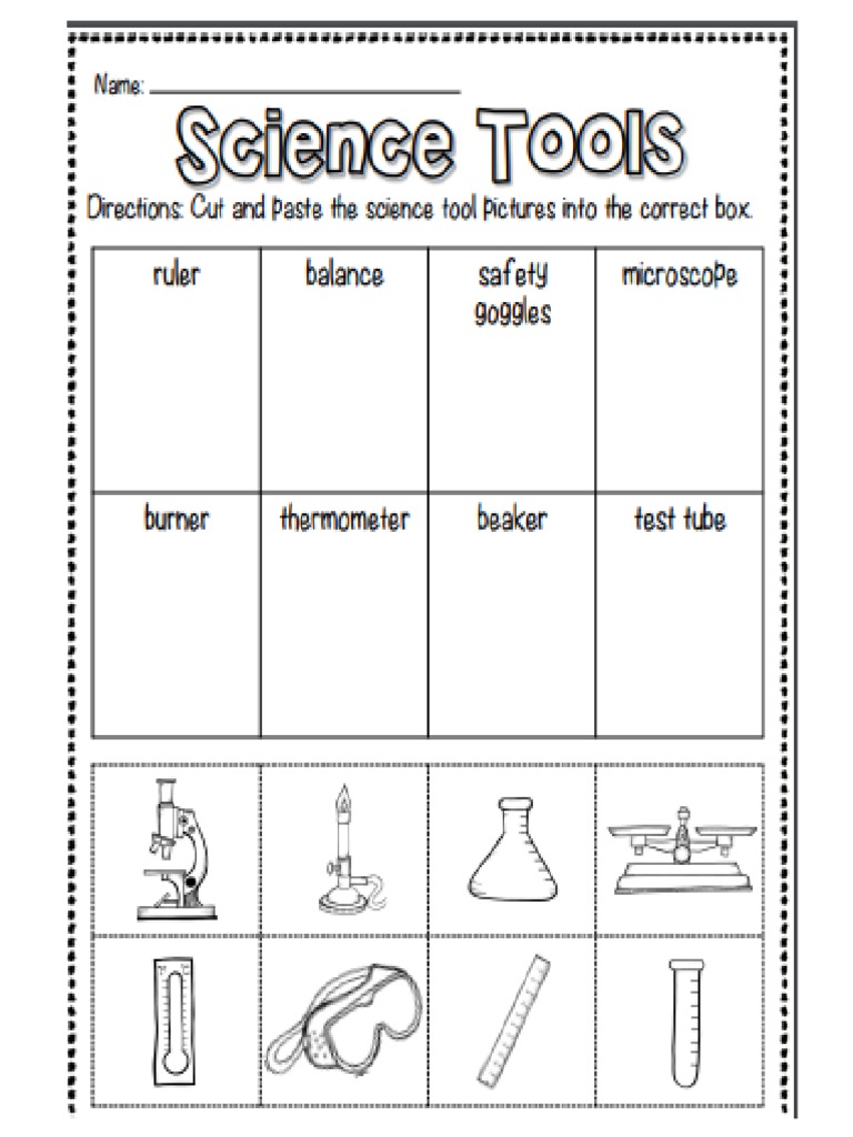 Science Worksheets 1st Grade | PDF