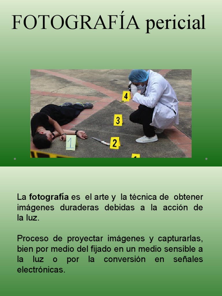 PERICIAS | PDF | Fotografía digital | Ciencias fisicas