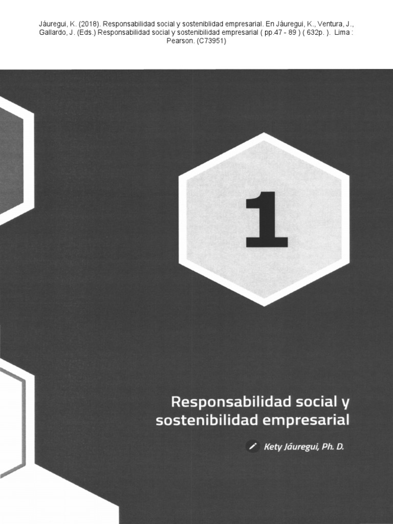 Lectura Responsabilidad y Sostenibilidad Empresarial | Descargar gratis PDF | Responsabilidad ...
