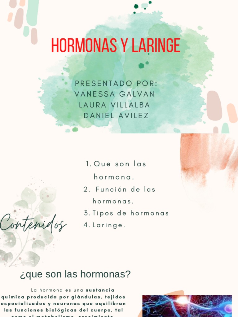 Hormonas y Laringe - Compressed | PDF | Hormona | Testosterona