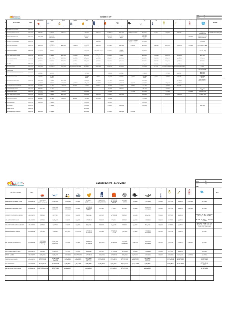 Modelo Kardex Epp - Unicon - Registro de Entregav2 | PDF