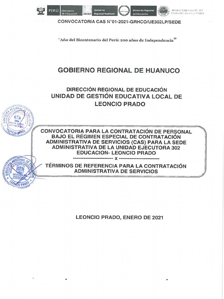 Anexo 1B-TDR Cas 001-2021 | PDF