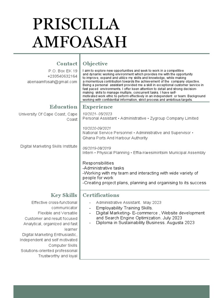 Priscilla's CV | PDF | Digital Marketing | Marketing