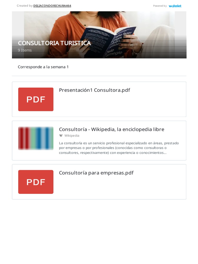 Consultoria Turistica, Definicion, Tipos | PDF | Industrias de servicio | Economias