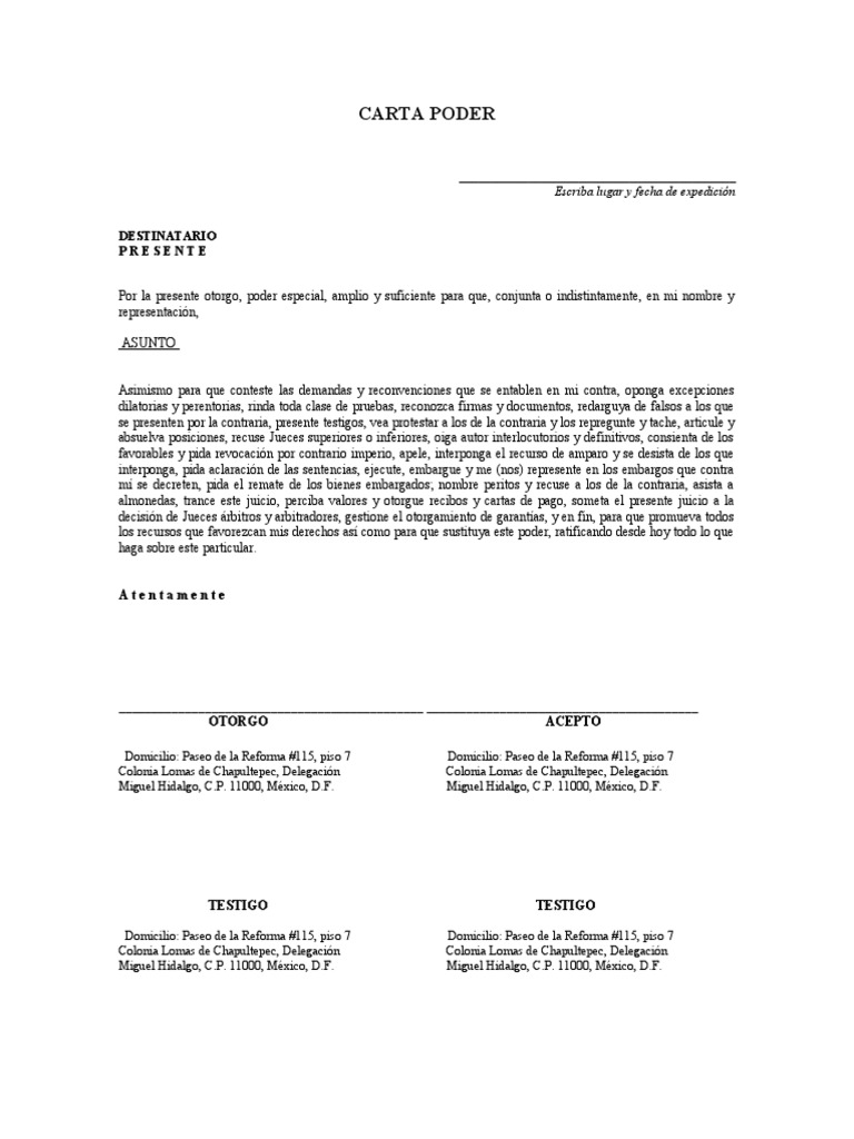CARTA PODER en Blanco | PDF | Gobierno | Justicia