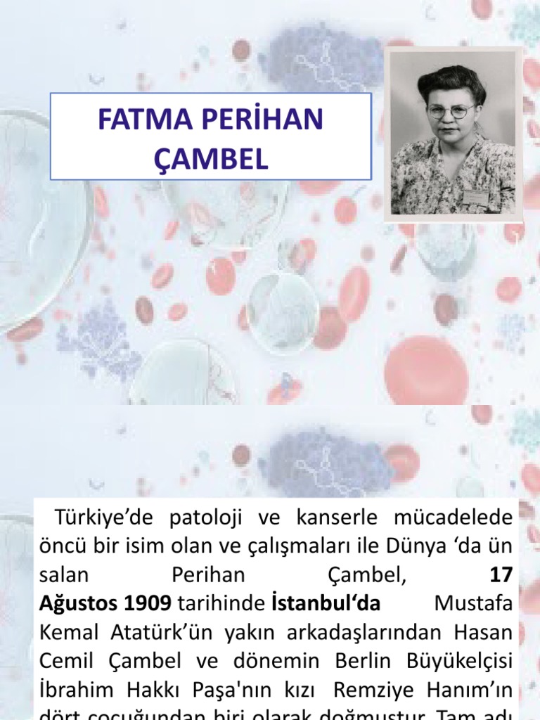 Fatma Peri̇han Çambel | PDF