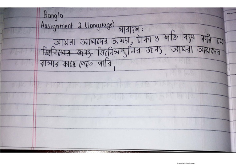Bangla Assignment | PDF