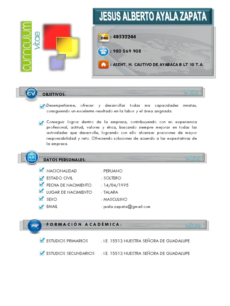 Perfil Profesional de Jesús Ayala | PDF | Crecimiento personal y profesional | Negocios