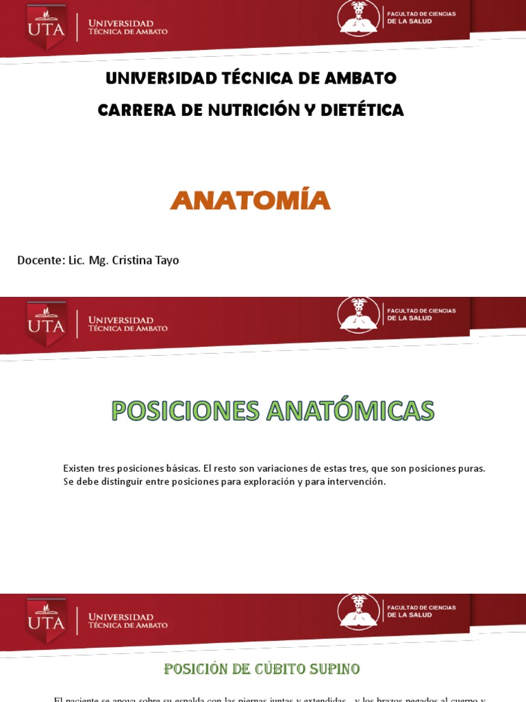 Posiciones Anatómicas | Descargar gratis PDF | Rodilla | Anatomía humana