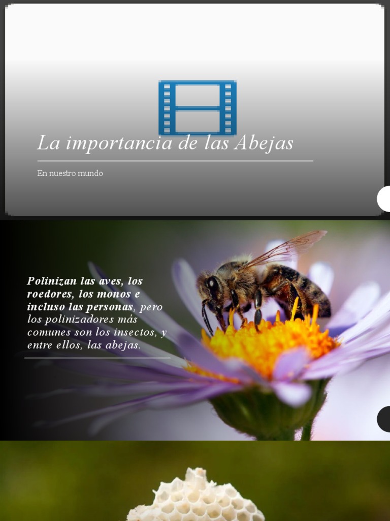 La Importancia de Las Abejas | PDF