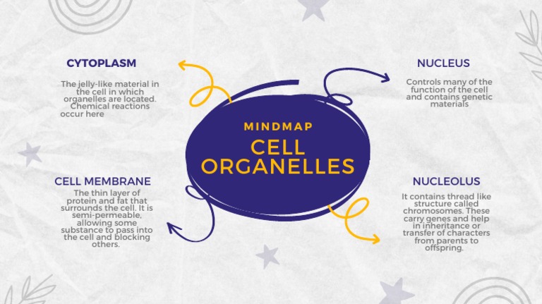 Mindmap On Cell Organelles | PDF