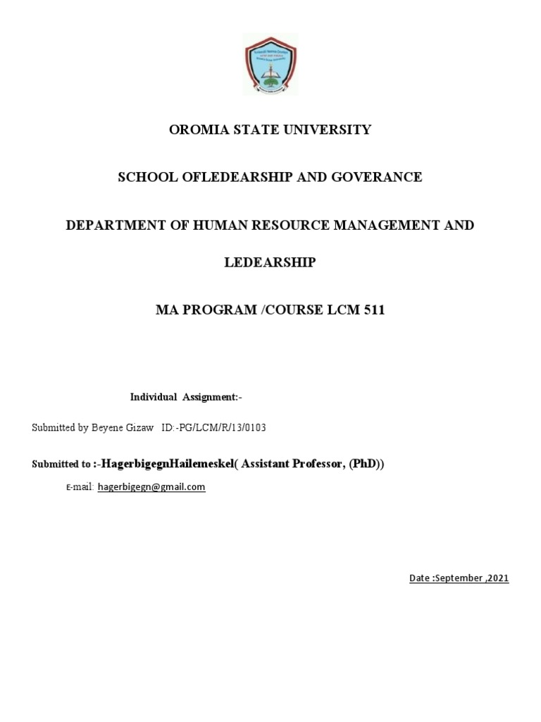 Beyene Report. | PDF | Leadership | Emotions