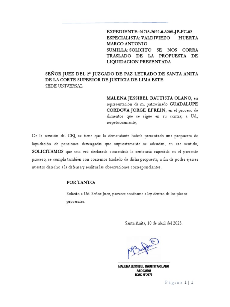 Modelo de Escrito | PDF