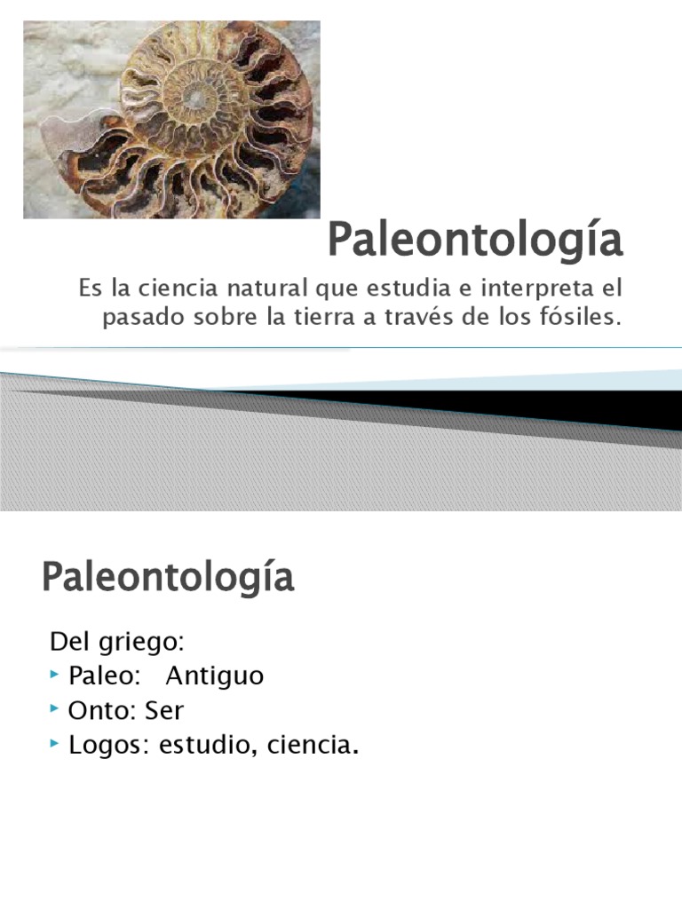 Paleontología Unidad 1 | PDF | Estrato | Roca (geología)