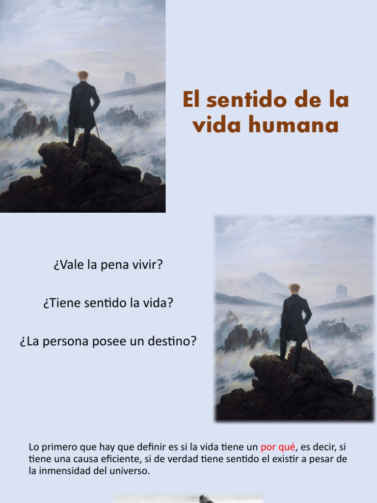El Sentido de La Vida Humana | PDF | Vida | Sufrimiento